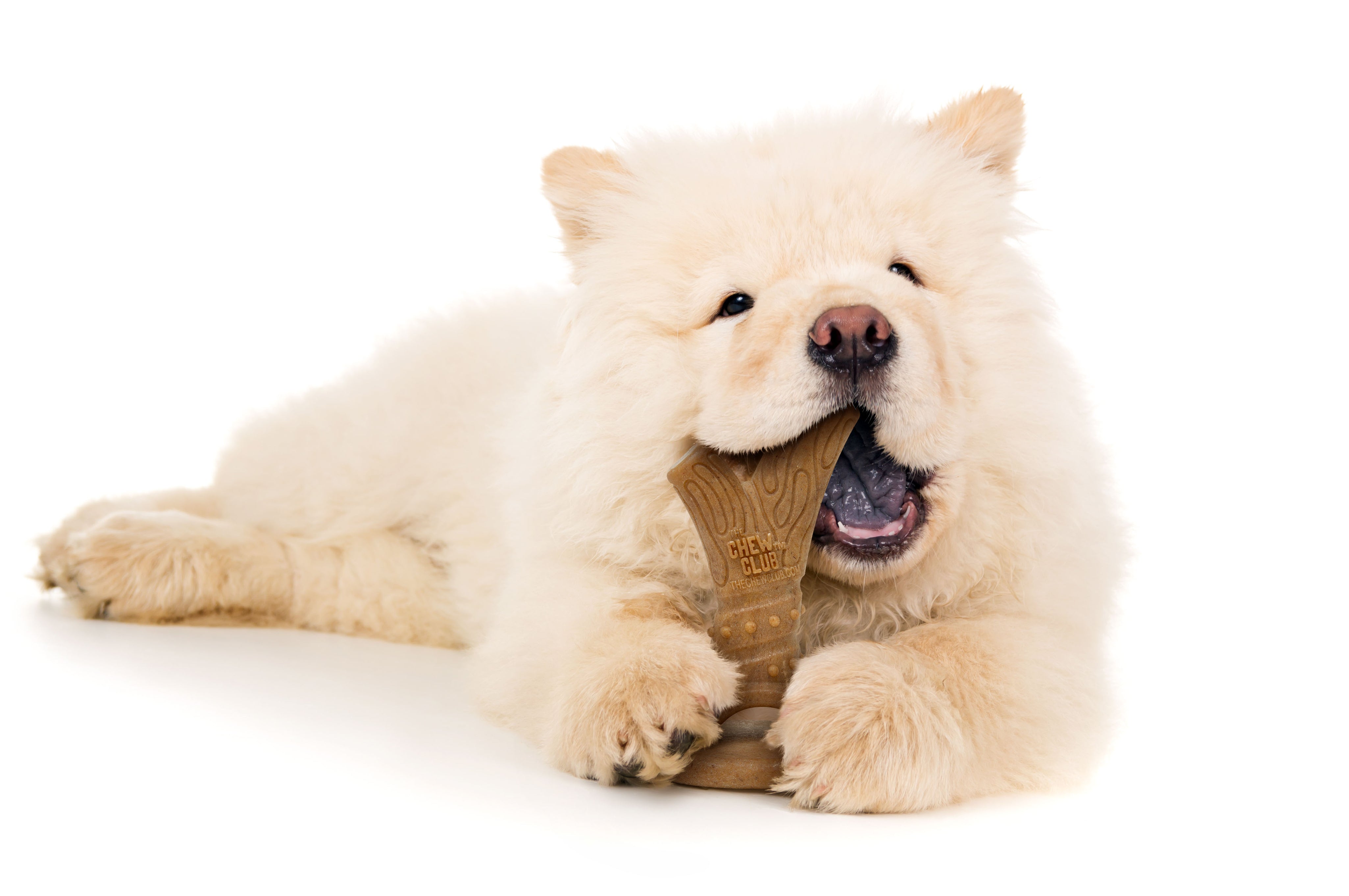 The Ultimate Chew Toy – powerbone